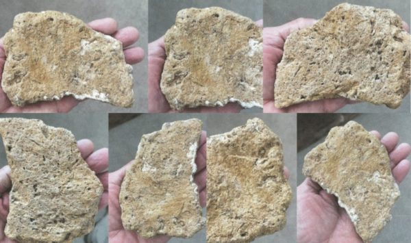 Palaeo American Story Stones and Other Portable Stone Figures Edited by ...