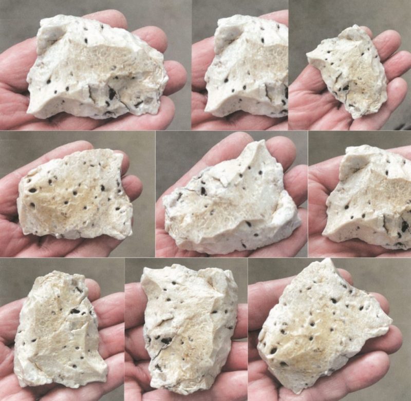 Palaeo American Story Stones and Other Portable Stone Figures Edited by ...